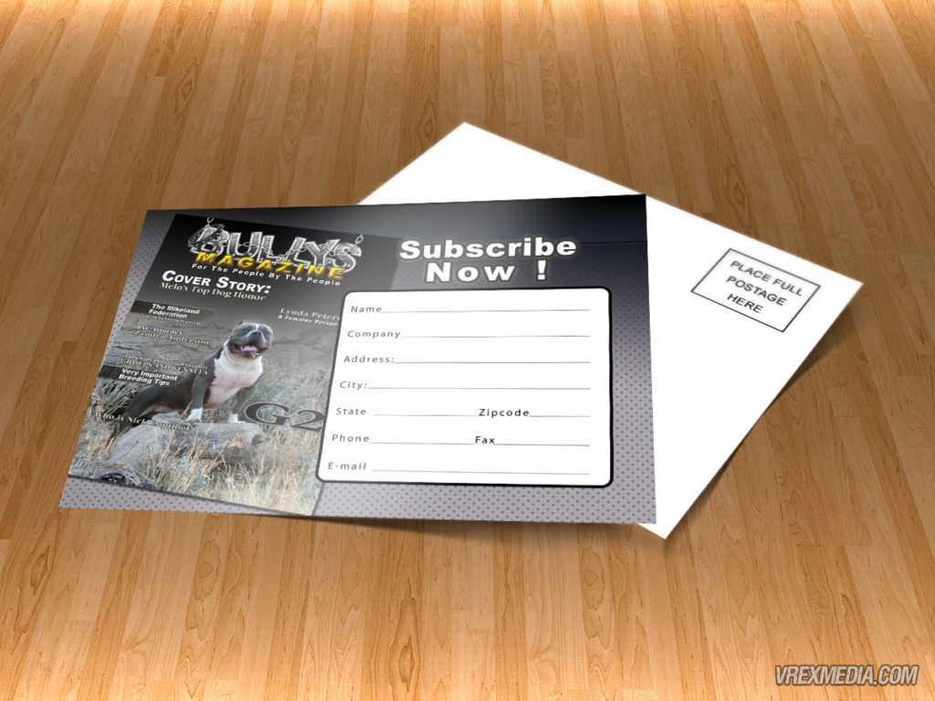 Subscription Card - Bullys Magazine